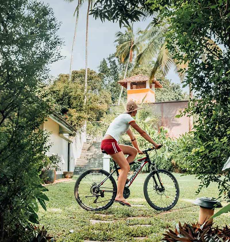 Sri Lanka Tea Plantation Tour | Visit Tea Plantation Galle