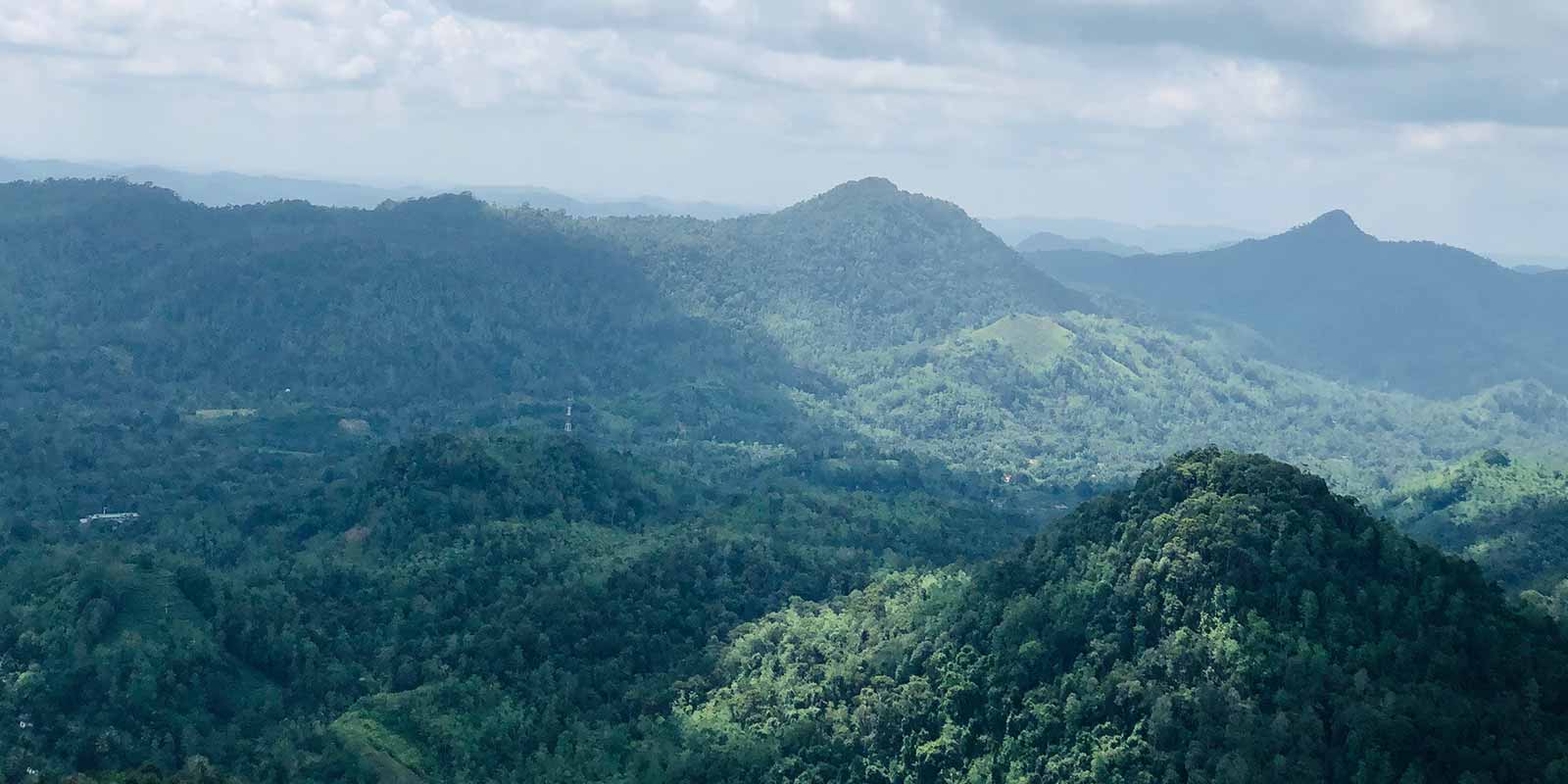Kanneliya Visiting Places | Visit Kanneliya Rain Forest